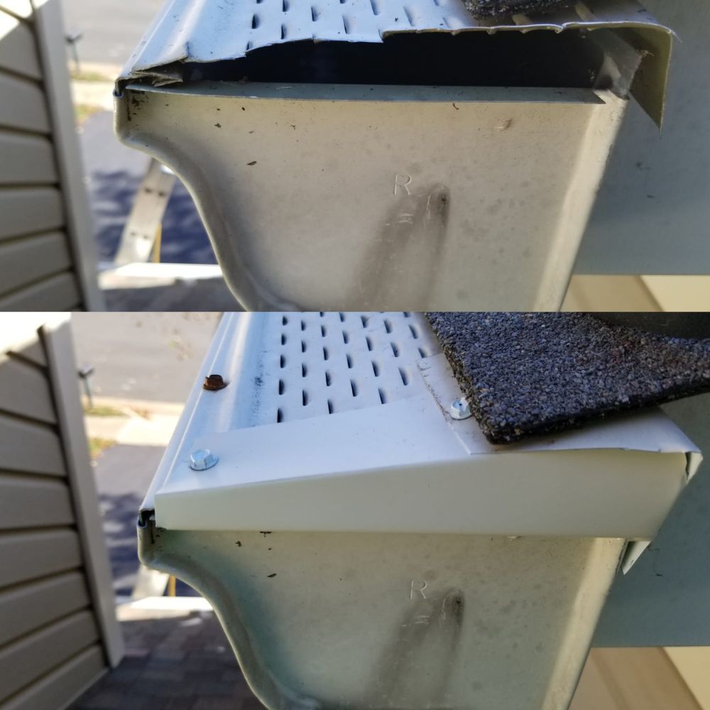 Wildlife Exclusion Service in Boston, MA - Northeast Wildlife Management